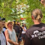 Cairns: Daintree Rainforest and Mossman Gorge Tour - Detailed Breakdown of the Tour Experience