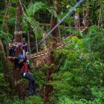 Cairns: Daintree Rainforest Canopy Ziplining Tour - The Experience for Different Travelers