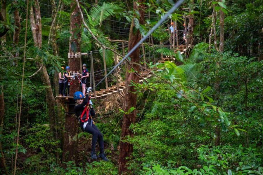 Cairns: Daintree Rainforest Canopy Ziplining Tour - The Experience for Different Travelers