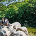 Cairns: Daintree Rainforest & Cape Tribulation Day Trip - What Travelers Can Expect and Why It Matters