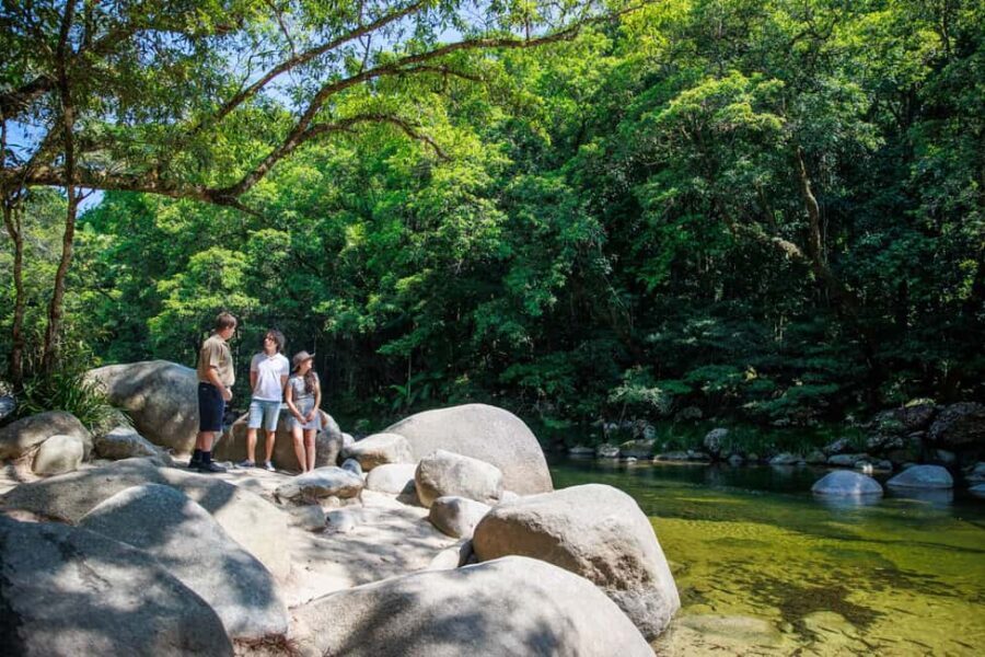 Cairns: Daintree Rainforest & Cape Tribulation Day Trip - What Travelers Can Expect and Why It Matters
