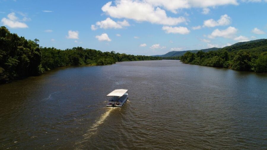 Cairns: Daintree Rainforest Wildlife Experience Cruise - The Sum Up