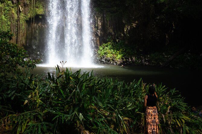 Cairns Day Tour Private Waterfall - Exploring the Waterfalls and Natural Wonders