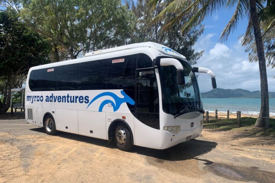 Cairns: Explore Dunk Island Day Tour - Authentic Experiences and What Travelers Say