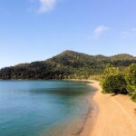 Cairns: Explore & Hike Dunk Island - Full Day Tour - Detailed Itinerary Breakdown