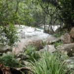 Cairns: Explorer Tour- Cairns Waterfalls - Final Thoughts: Is This Tour for You?