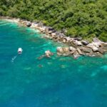 Cairns: Fitzroy Island Ferry, optional lunch, tours, snorkel - What Visitors Say: Authentic Insights from Real Travelers