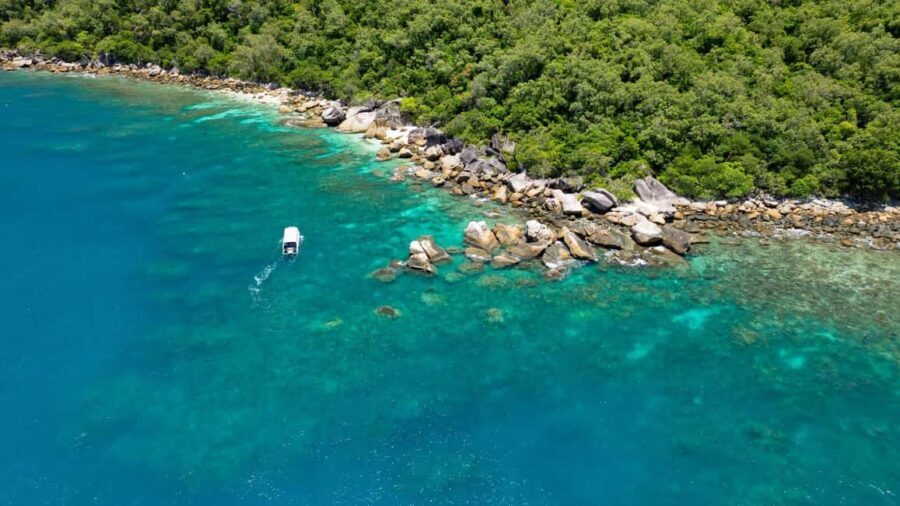 Cairns: Fitzroy Island Ferry, optional lunch, tours, snorkel - What Visitors Say: Authentic Insights from Real Travelers