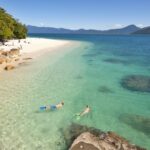 Cairns: Fitzroy Island Ferry w/ Snorkel, Lunch, Tour Options - Snorkeling and Marine Life: A Highlight
