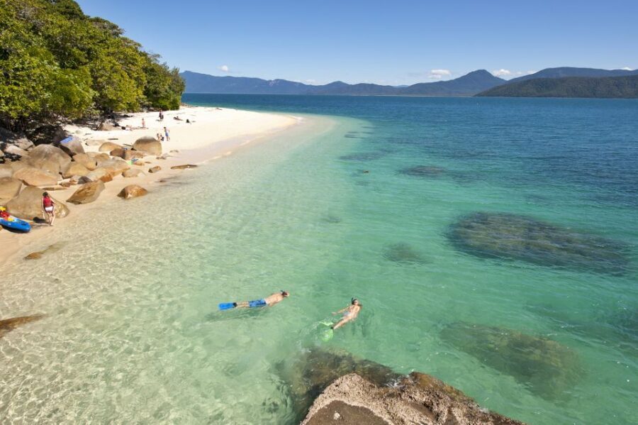 Cairns: Fitzroy Island Ferry w/ Snorkel, Lunch, Tour Options - Snorkeling and Marine Life: A Highlight