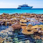 Cairns: Great Barrier Reef 5 Day Learn to Dive Course - The Itinerary Breakdown