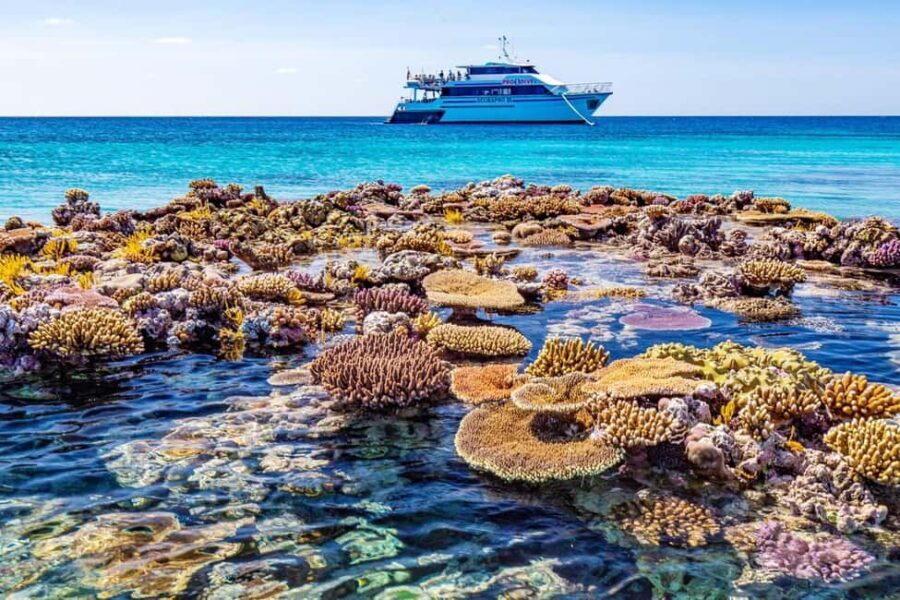 Cairns: Great Barrier Reef 5 Day Learn to Dive Course - The Itinerary Breakdown