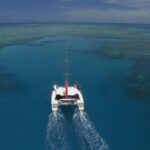 Cairns: Great Barrier Reef Snorkeling Tour with Lunch - Value for Money and Practical Tips