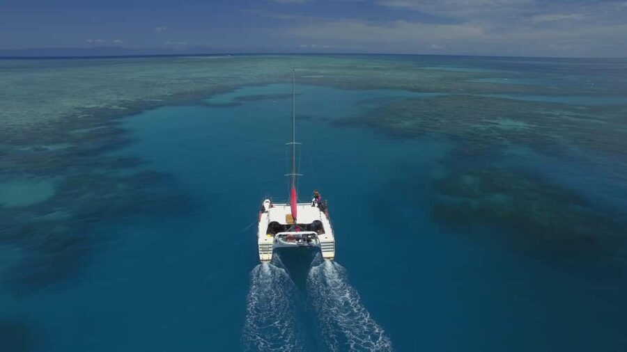 Cairns: Great Barrier Reef Snorkeling Tour with Lunch - Value for Money and Practical Tips