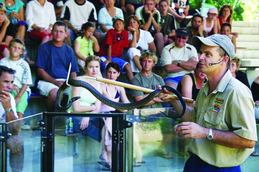 Cairns: Hartley's Crocodile Adventures Visit with Transfer - The Animals and Shows: What You’ll See and Learn