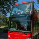 Cairns Hop on Hop Off - What to Expect from the Service
