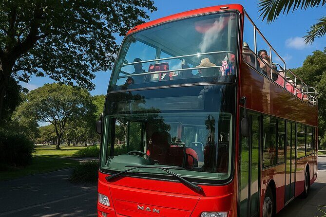 Cairns Hop on Hop Off - What to Expect from the Service