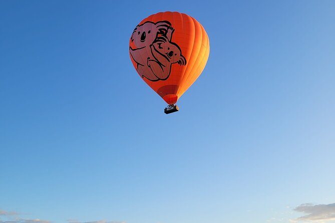 Cairns Hot Air Balloon Flight + Bad Fishy Jet Boating Cairns - What Makes This Tour Stand Out