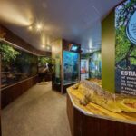 Cairns Koalas and Creatures Entry Ticket with Koala Photo - The Itinerary and What You’ll See
