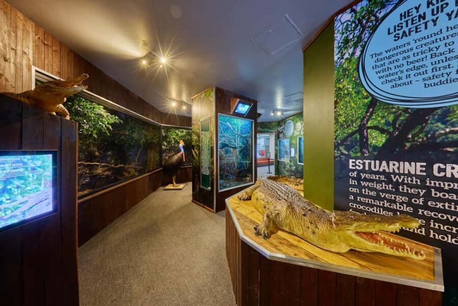 Cairns Koalas and Creatures Entry Ticket with Koala Photo - The Itinerary and What You’ll See