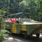 Cairns Kuranda Skyrail and Railway Small group tour - Authentic Experiences and Tips from Reviews