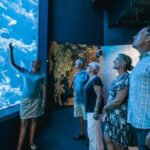 Cairns: Night at the Aquarium Guided Tour - Analyzing the Value