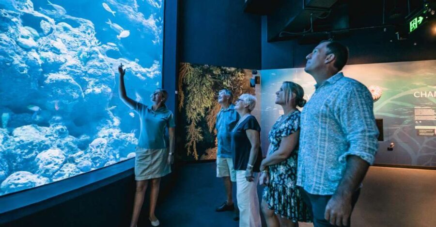 Cairns: Night at the Aquarium Guided Tour & 2 Course Dinner - What to Expect: A Deeper Dive