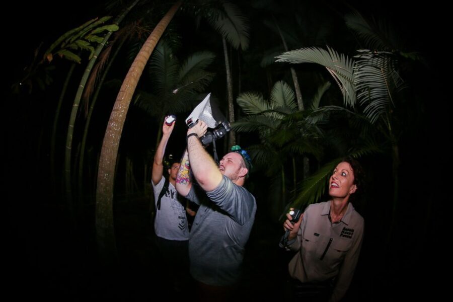 Cairns: Night Walk in Cairns Botanic Gardens - Who Will Love This Tour?