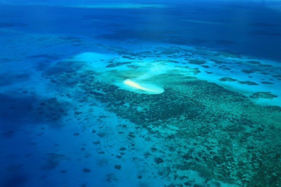 Cairns: Outer Edges of The Great Barrier Reef Scenic Flight - The Value: How it Measures Up