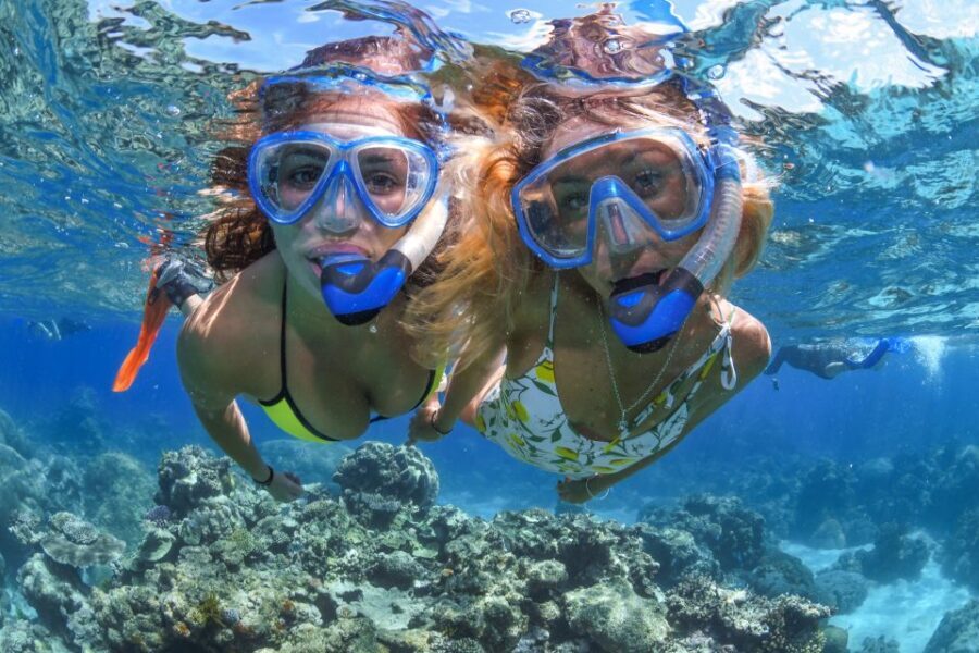 Cairns: Outer Great Barrier Reef Full-Day Tour with Lunch - The Purpose and Practicalities of the Tour