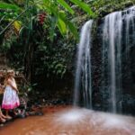 Cairns: Paronella Park Ticket - Authentic Reviews and What They Reveal
