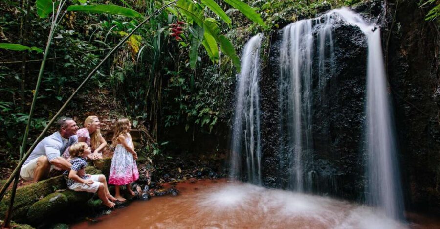Cairns: Paronella Park Ticket - Authentic Reviews and What They Reveal
