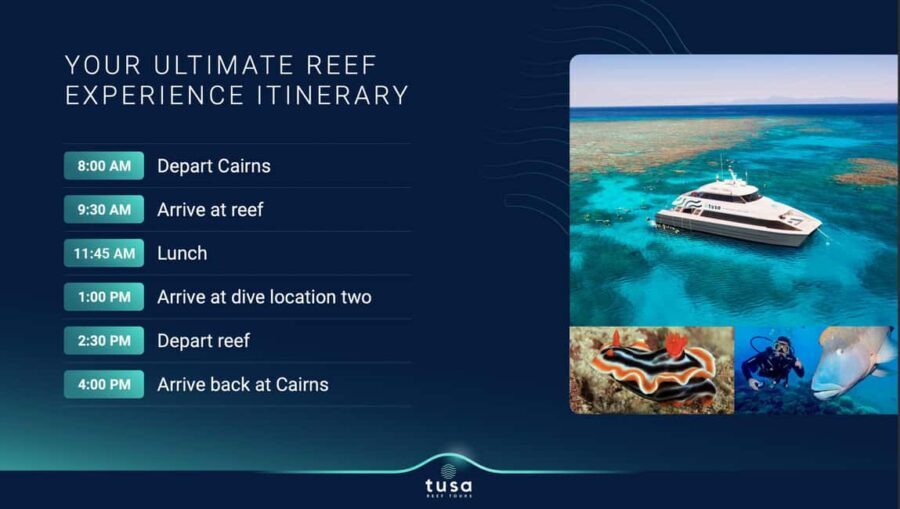 Cairns: Privately Guided Scuba Dive Day Trip - The Value Proposition