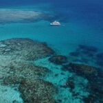Cairns: Semi-Private | Outer Reef Snorkel & Dunk Island - Authentic Insights from Other Travelers