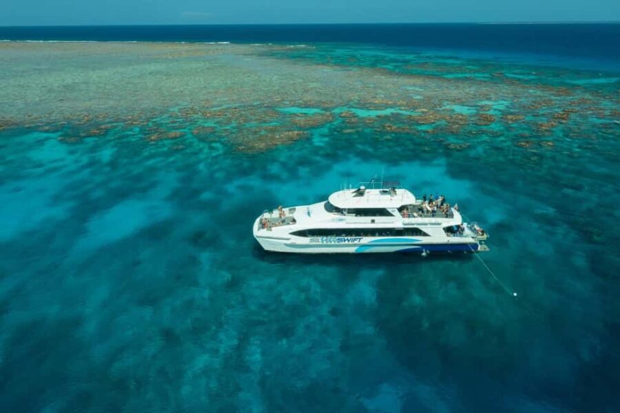 Cairns: Silverswift 3 Great Barrier Reef Sites in 1 Day - Who Will Love This Tour?