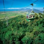 Cairns: Skyrail, Kuranda, and Rail Tour with Hotel Transfers - The Value for Money and Practical Considerations