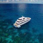 Cairns Super Saver: Reef Cruise, Daintree & Kuranda Rail/Skyrail - Daintree Rainforest and Cape Tribulation