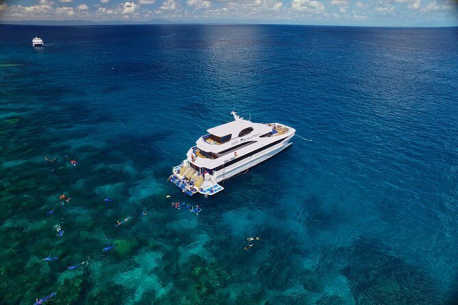Cairns Super Saver: Reef Cruise, Daintree & Kuranda Rail/Skyrail - Daintree Rainforest and Cape Tribulation