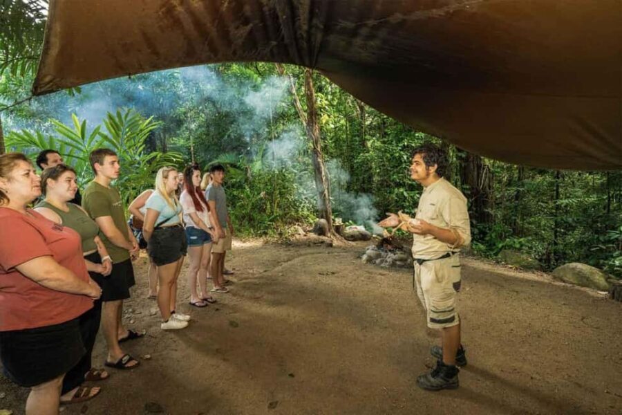 Cairns: Wildlife Habitat, Mossman Gorge, and Daintree Tour - Starting the Day: Convenience and Comfort
