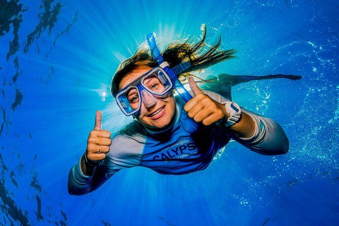 Calypso Outer Great Barrier Reef Cruise from Port Douglas - Experience Breakdown: From Port to Reef and Back