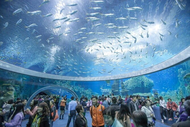 Cam Ranh Nha Trang 4 Days Tour with City, Vinwonder and 4 Islands - Who Will Love This Tour?
