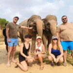 Cambodia Elephants Haft Day Experiences from Siem Reap - Who Will Love This Tour?