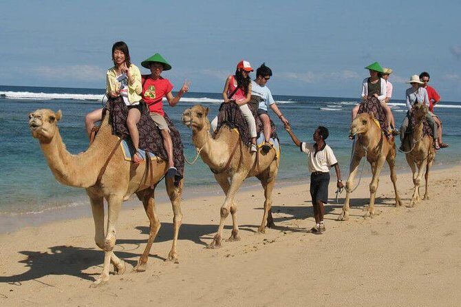 Camel Safari 30 minutes In White Sand Beach - Who Is This Tour Best For?