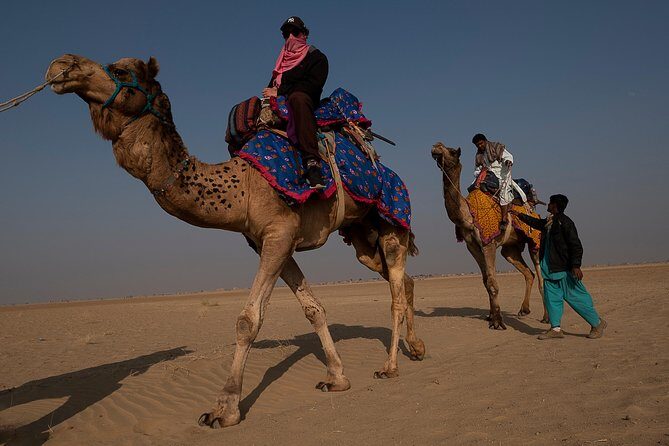 Camel Safari In Jaisalmer - An In-Depth Look at the Camel Safari Experience