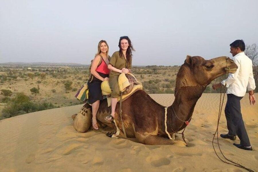 Camel Safari Tour From Jodhpur - Transportation and Logistics