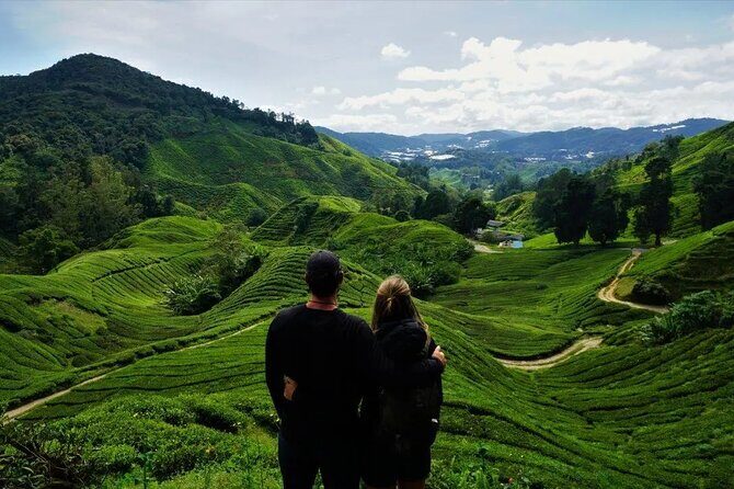 Cameron Highlands Tour from Kuala Lumpur - The Pros and Cons: Is This Tour Right for You?