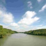 Can Gio: Discovery Vam Sat EcoPark - Can Gio Island Day Trip - Analyzing the Value
