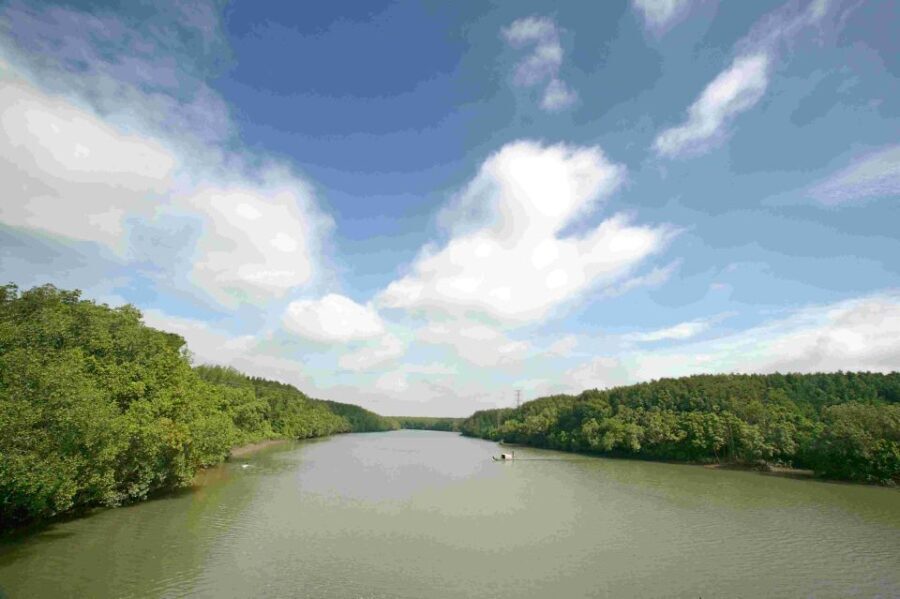 Can Gio: Discovery Vam Sat EcoPark - Can Gio Island Day Trip - Analyzing the Value