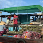 Can Tho: Floating Market, Cacao & Canals with French Guide - Why This Tour Offers Great Value