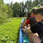 Can Tho: Lung Ngoc Hoang Nature Reserve & Hidden Forests - Exploring the Wetlands by Boat
